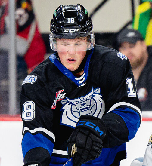 BEST DEFENSIVE PROSPECTS IN 2026 NHL DRAFT – HockeywizScouts